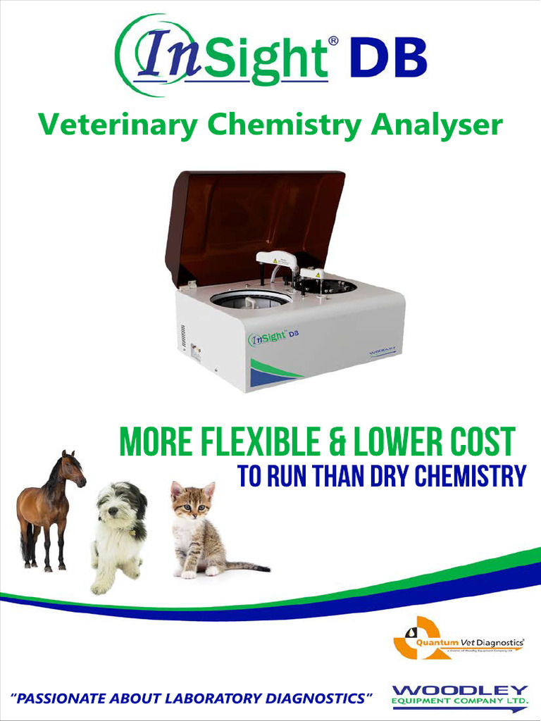 insight_db_flyer | PDF