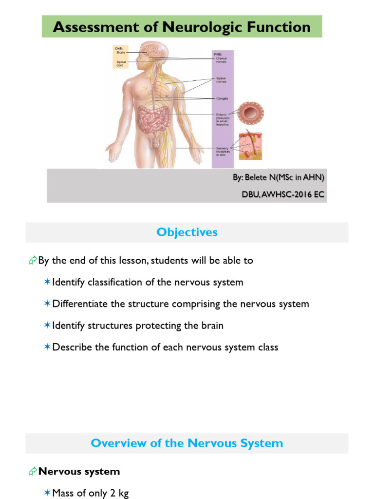 Neurologic Function for Students | PDF | Cerebrospinal Fluid | Vertebral Column