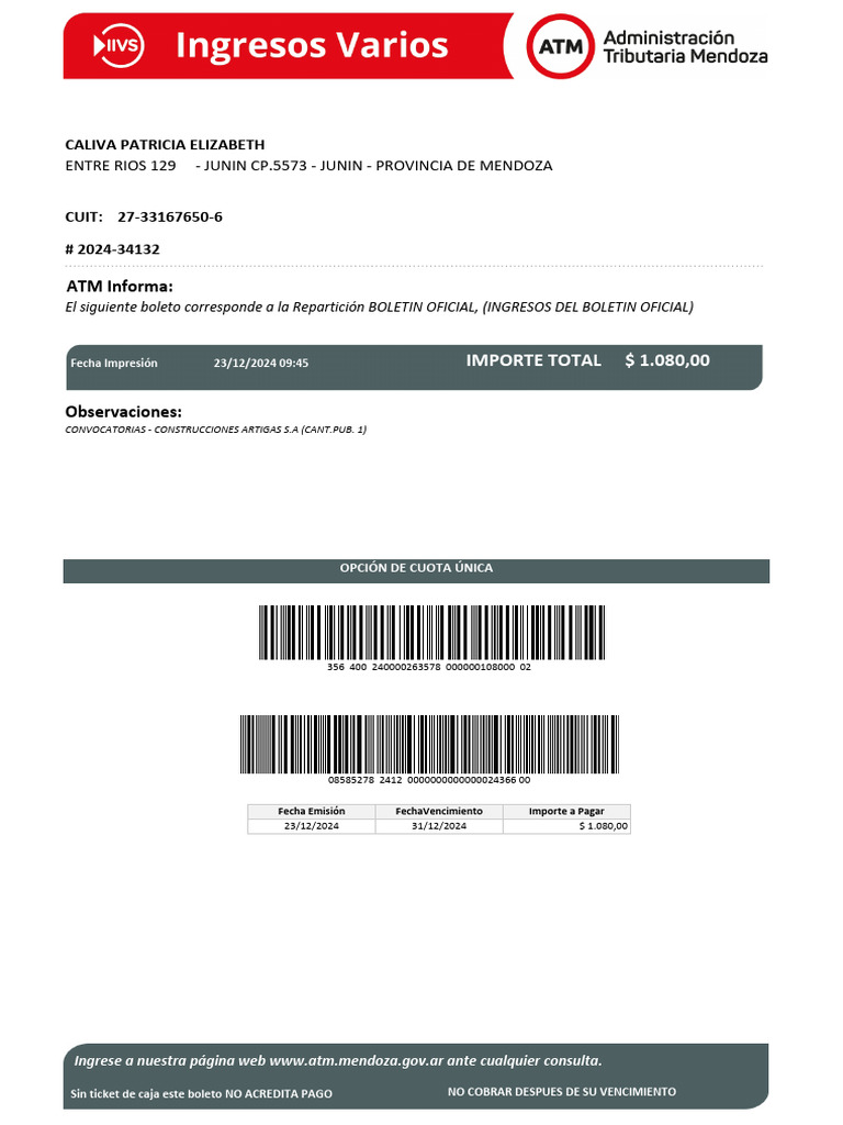 Boleto Oficial Junín Mendoza 2024 | PDF