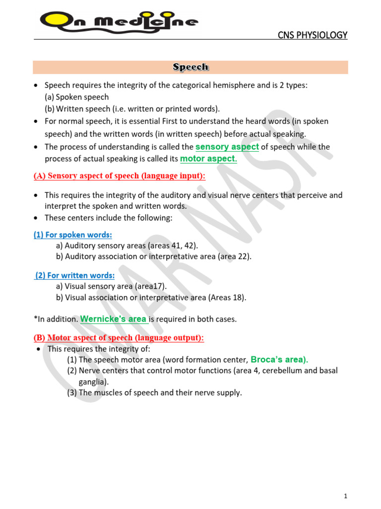 Speech | PDF | Speech | Aphasia