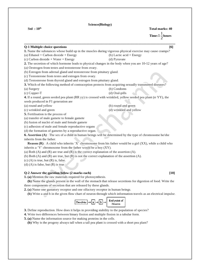 10th Grade Biology Exam Questions | PDF | Testosterone | Estrogen