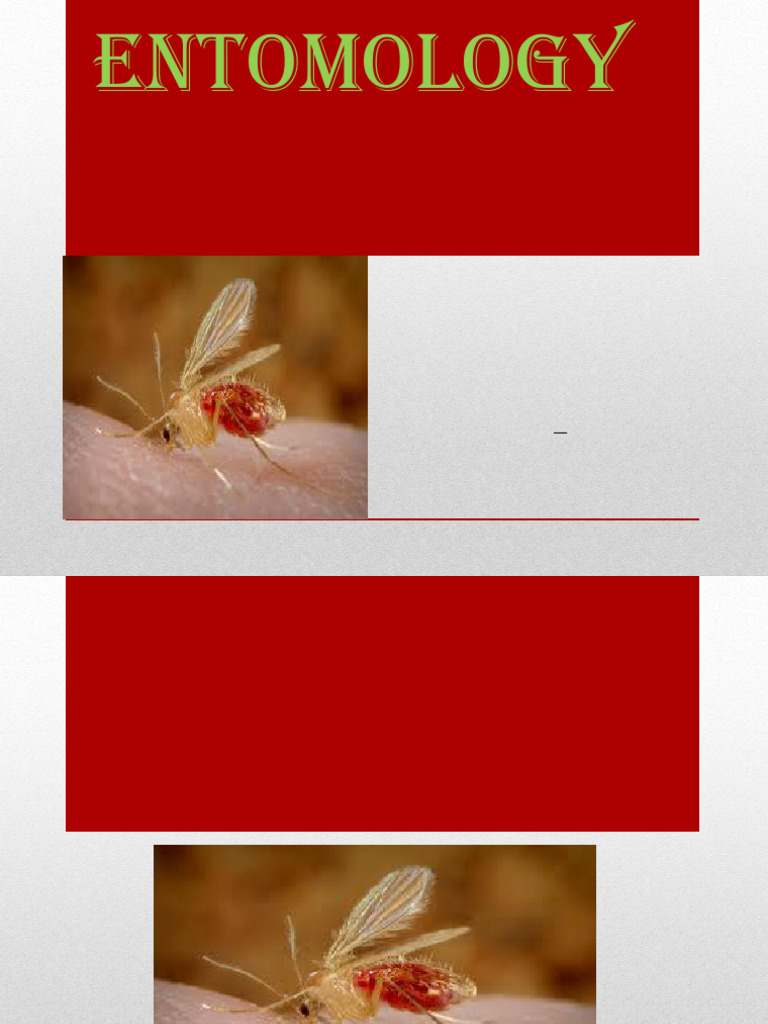 Introductions To Entomology | PDF | Insects | Fly