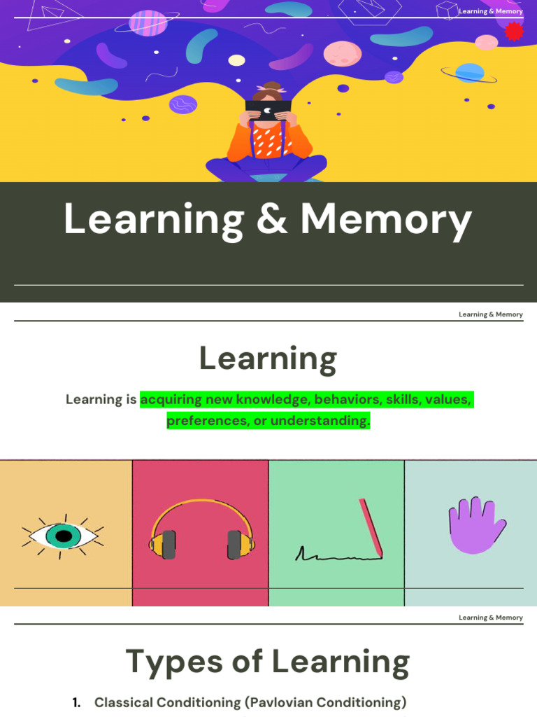 Learning Memory XX | PDF | Memory | Long Term Memory