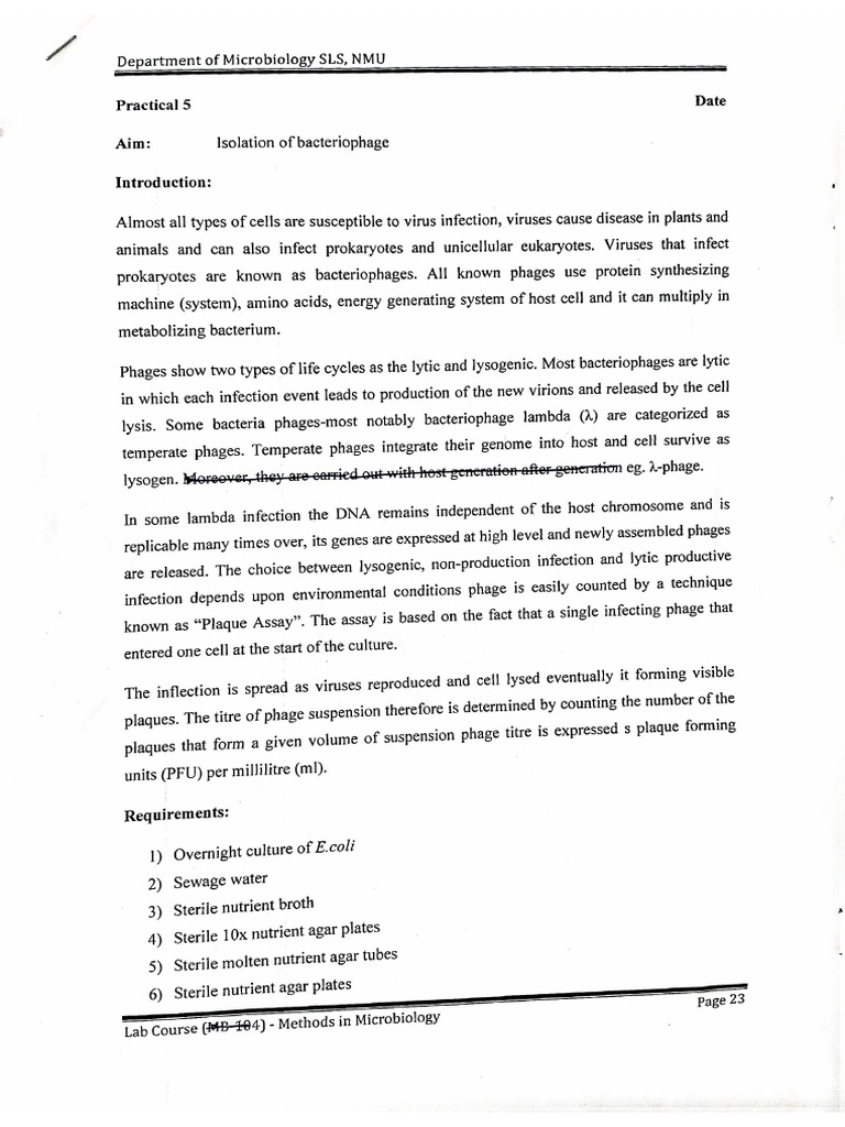 Isolation Of Bacteriophage Pdf