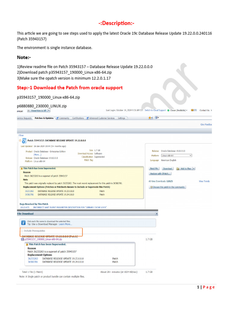 Apply Patching On Oracle 19c Database Release Update 19 Pdf Oracle Database Databases