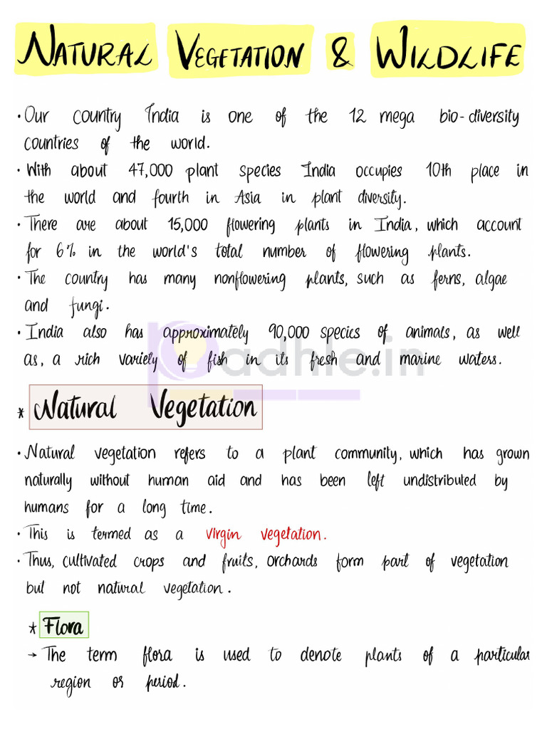 Natural Vegetation and Wildlife - Padhle Class 9 Social Science | PDF
