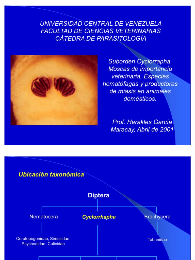 Miasis | Mosca | Zoología