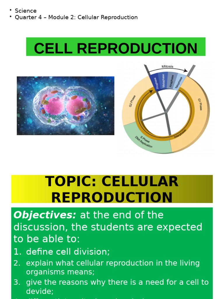 Cell Division Mitosis Meiosis Biology Lecture PowerPoint VCBCct | PDF ...