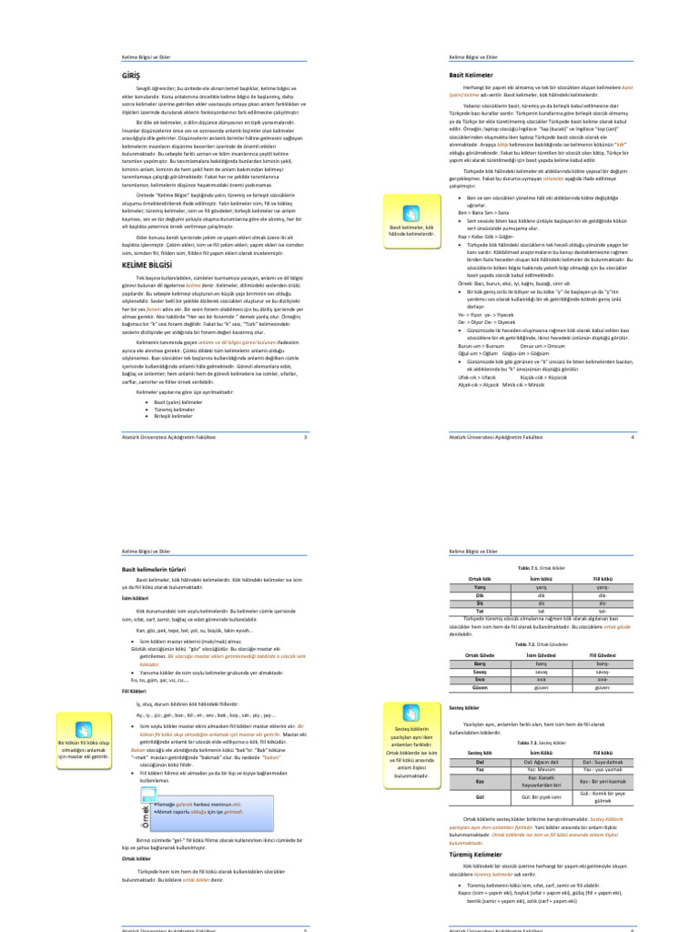 Giriş: Basit | PDF