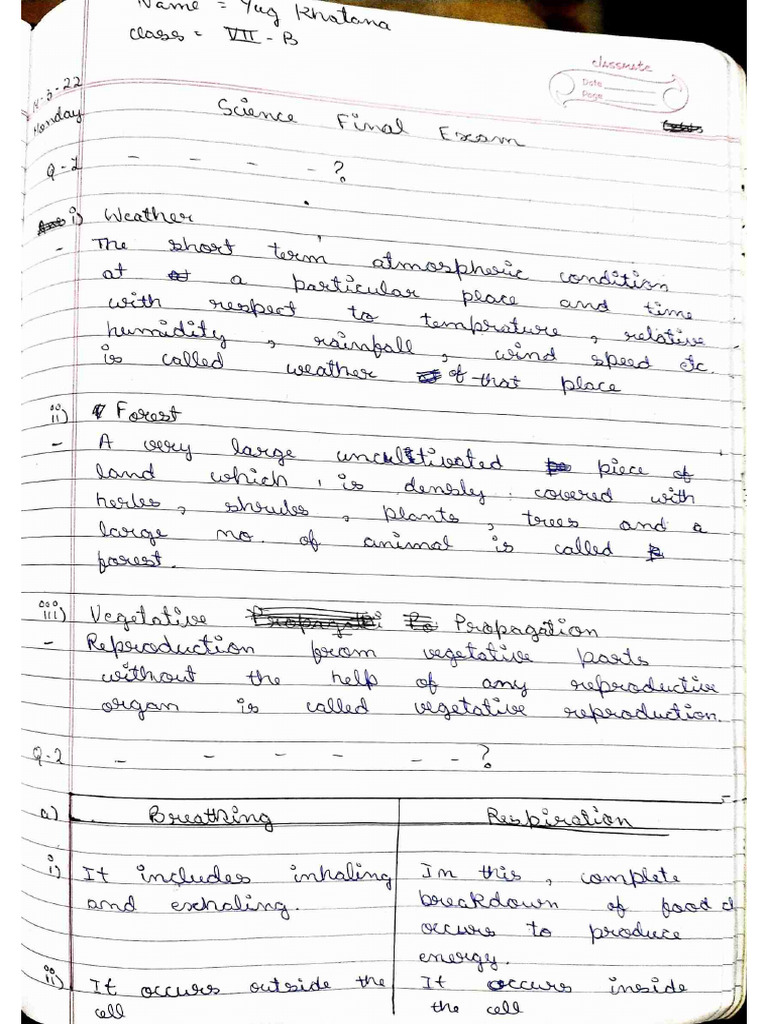 Science Final Exam | PDF