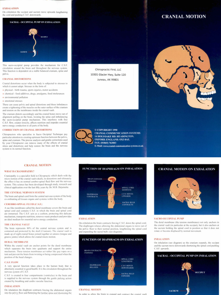 Cranial Motion | PDF