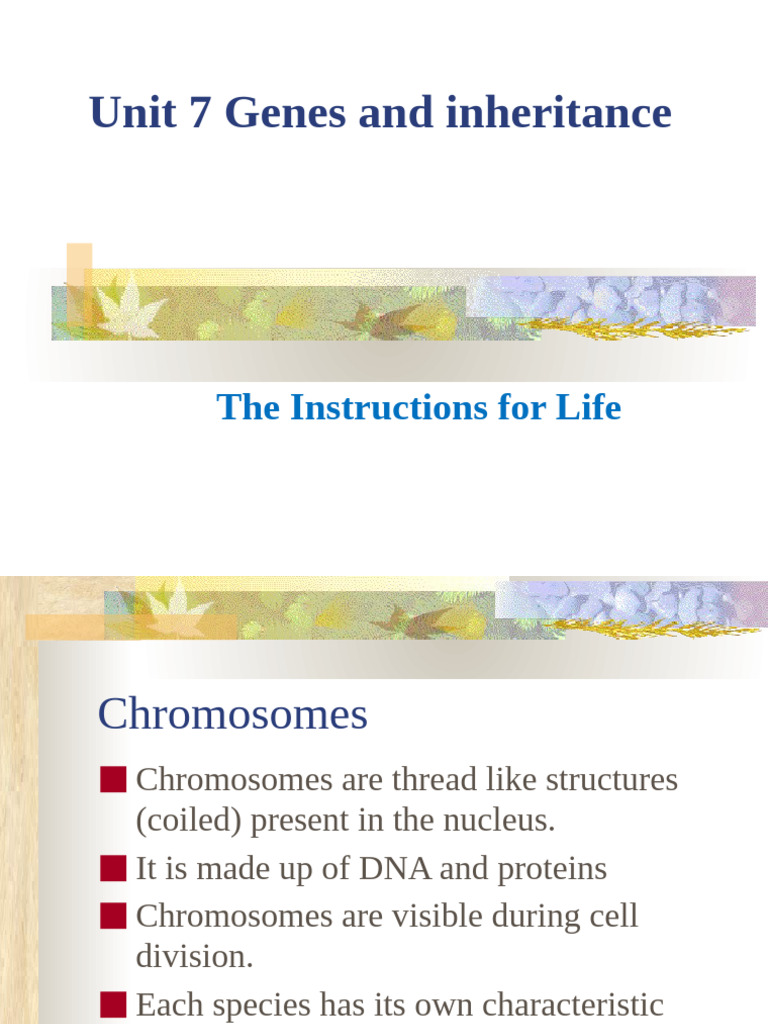 DNA Genes and Chromosomes(1) | PDF | Chromosome | Gene