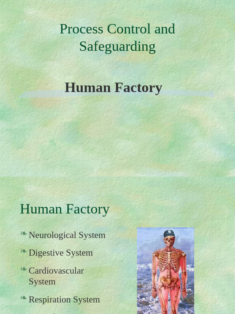 The Human Factory 215 | PDF | Human Digestive System | Gastrointestinal ...