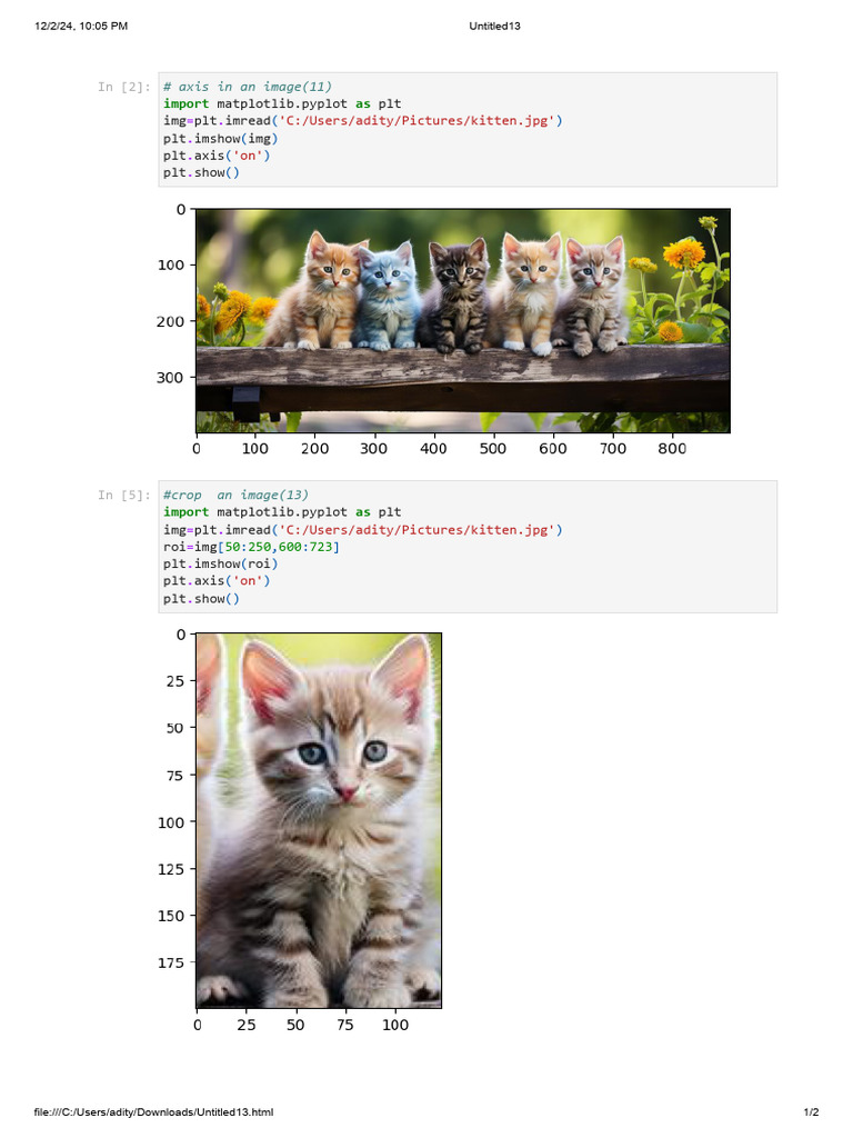Rupika Record Program | PDF