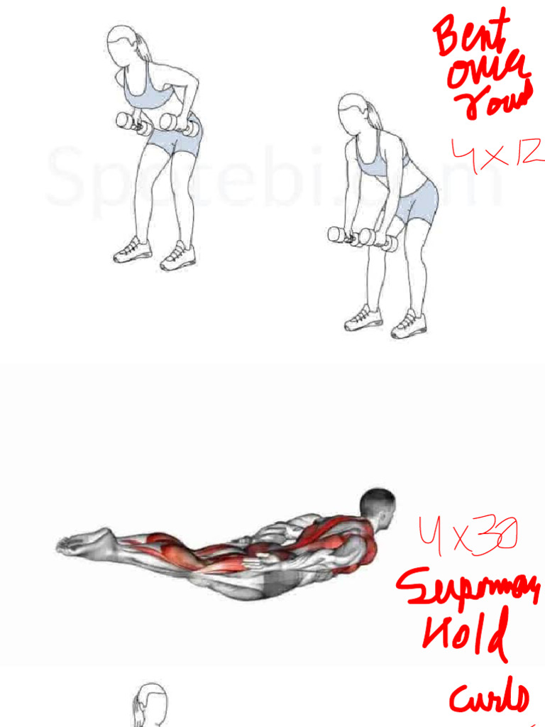 Day 3 Wednesday (Back and Biceps) | PDF