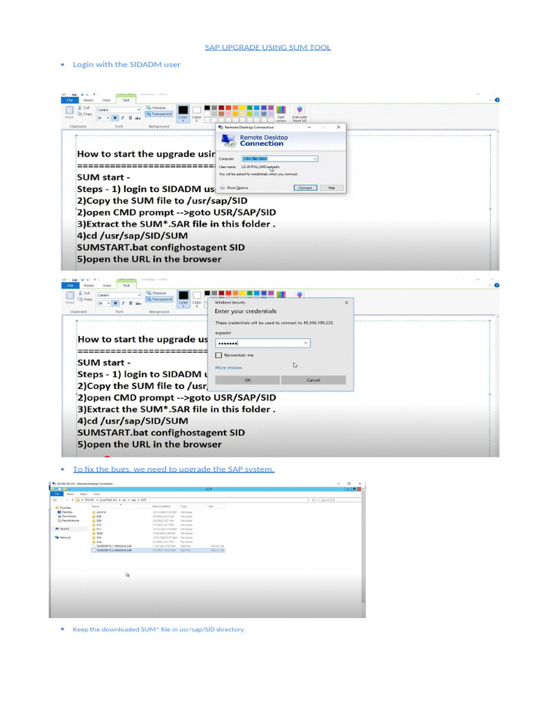 SAP UPGRADE USING SUM TOOL | PDF