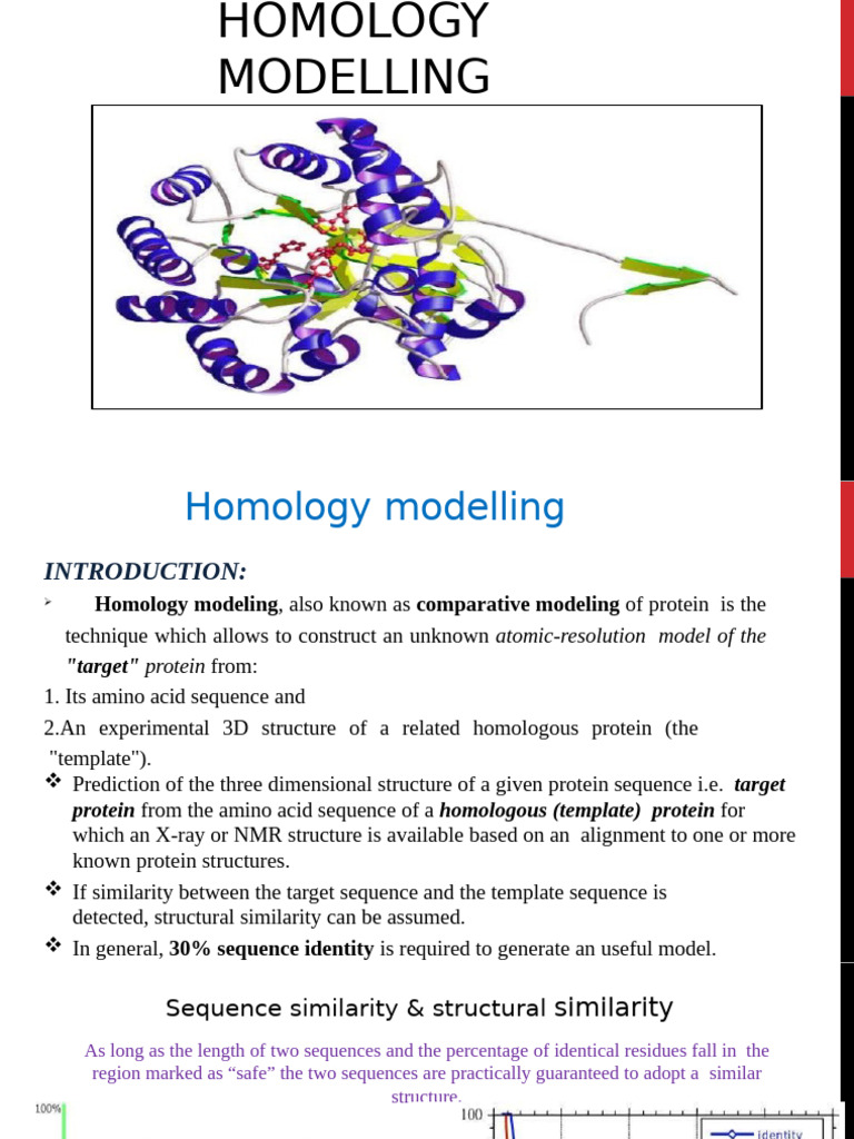 Homology Modeling of Proteins | PDF | Sequence Alignment | Proteins