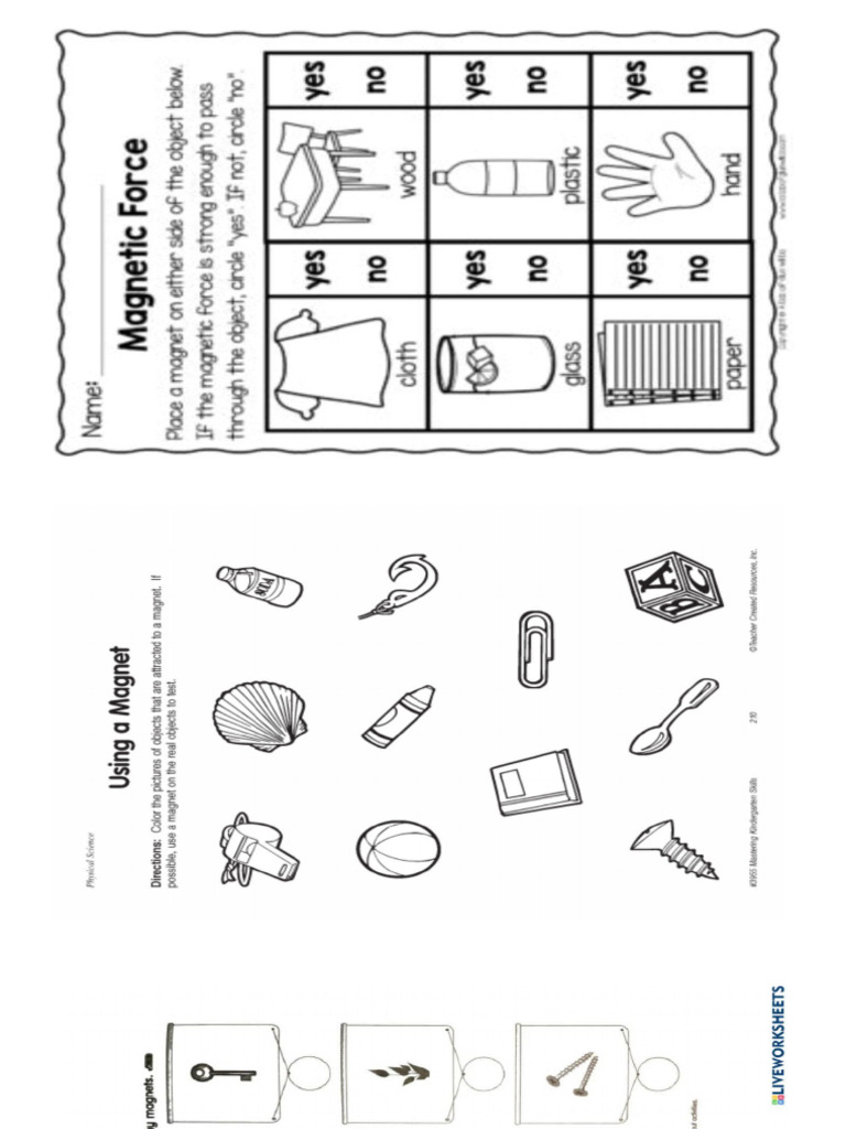 Magnetic | PDF