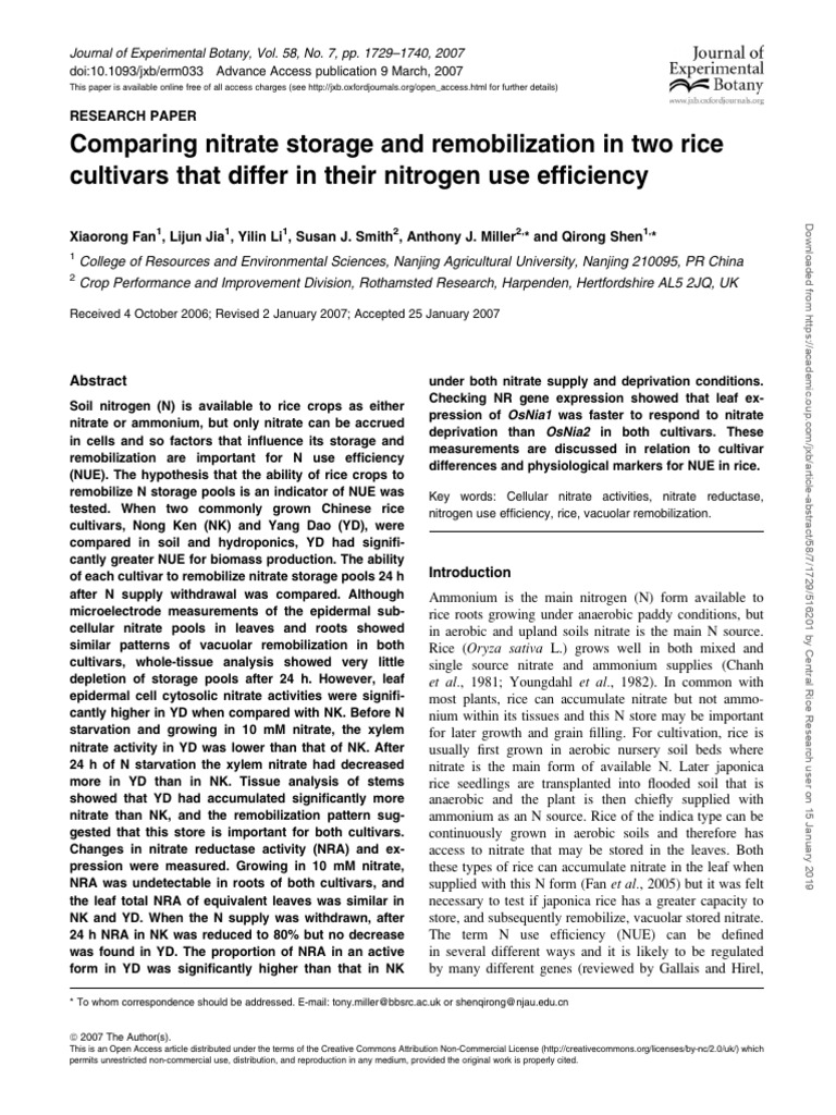 Comparing Nitrate Storage | PDF | Rice | Root