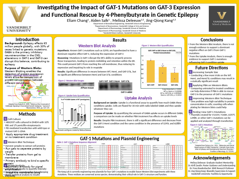Eliam BME 3860 Research Poster | PDF | Western Blot | Mutation