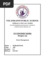 Class 10 Waste Management Project | PDF