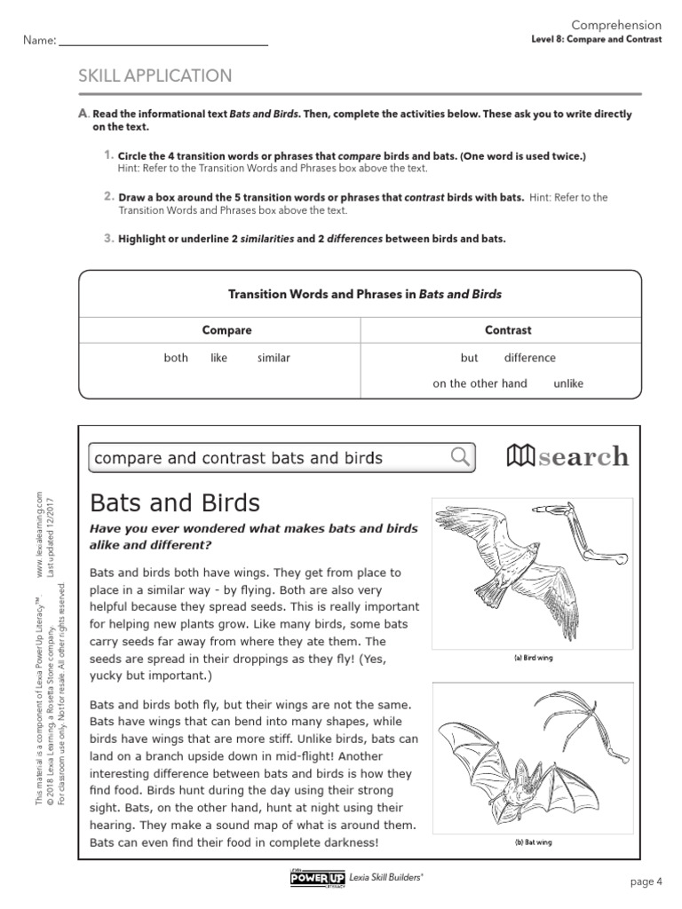 Compare & Contrast - Birds Vs Bats | PDF | Bat
