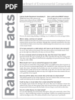 FAVN Report Form With Checklist | PDF
