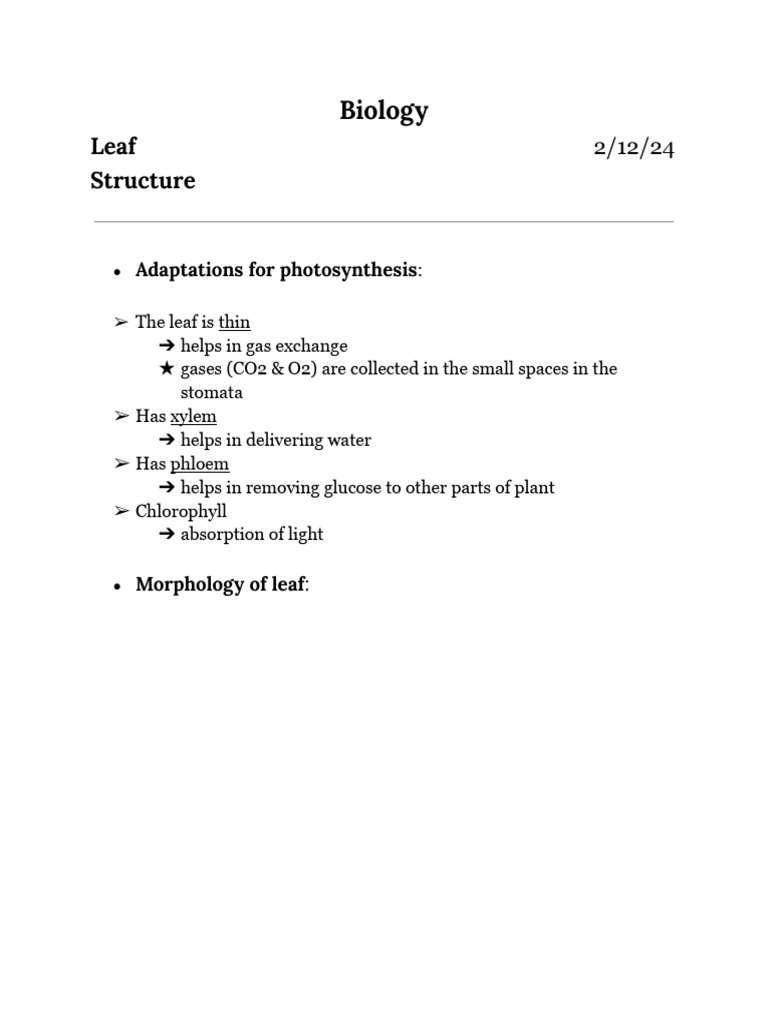 Biology - Plant Structure | PDF | Leaf | Chloroplast
