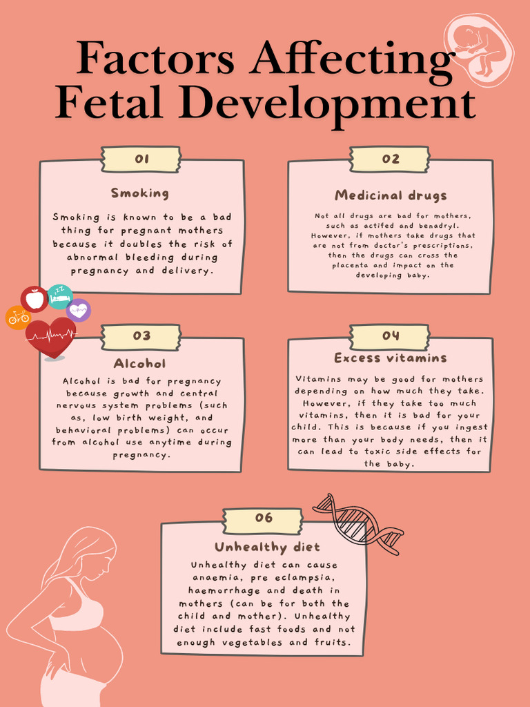 Factors Affecting Fetal Development | PDF
