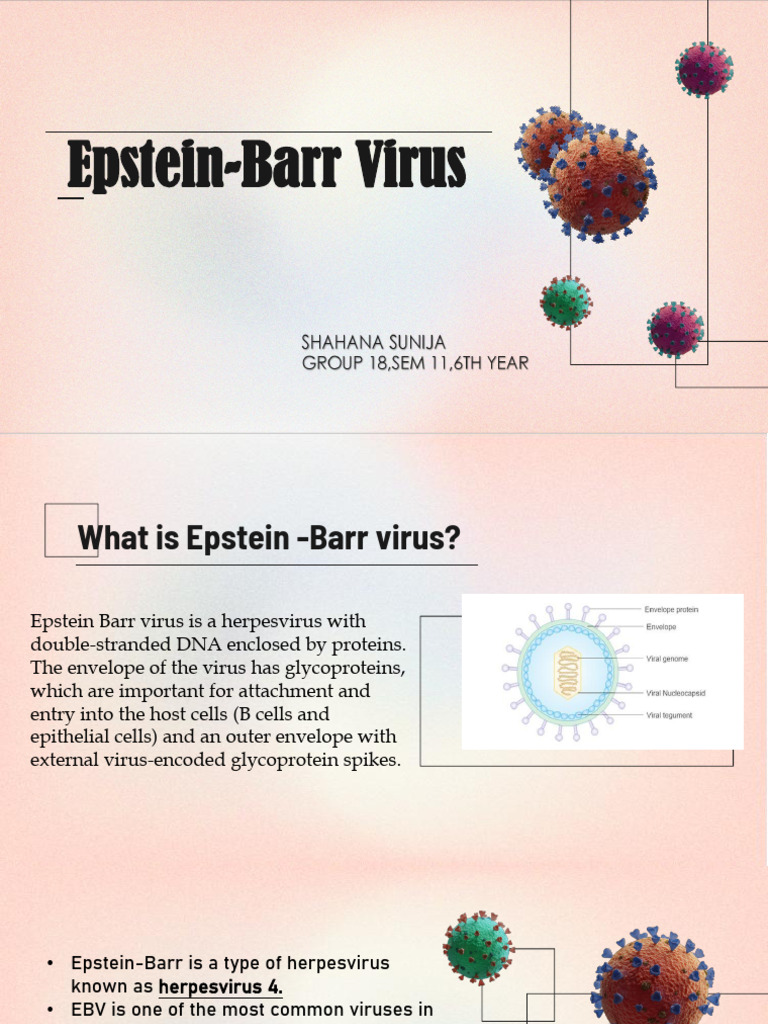 EBV | PDF | Infection | Virology