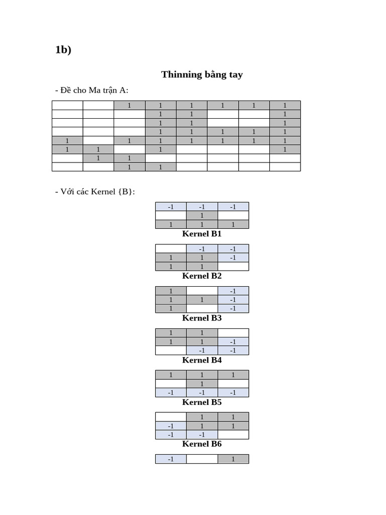 Thinning bằng tay: - Đề cho Ma trận A | PDF