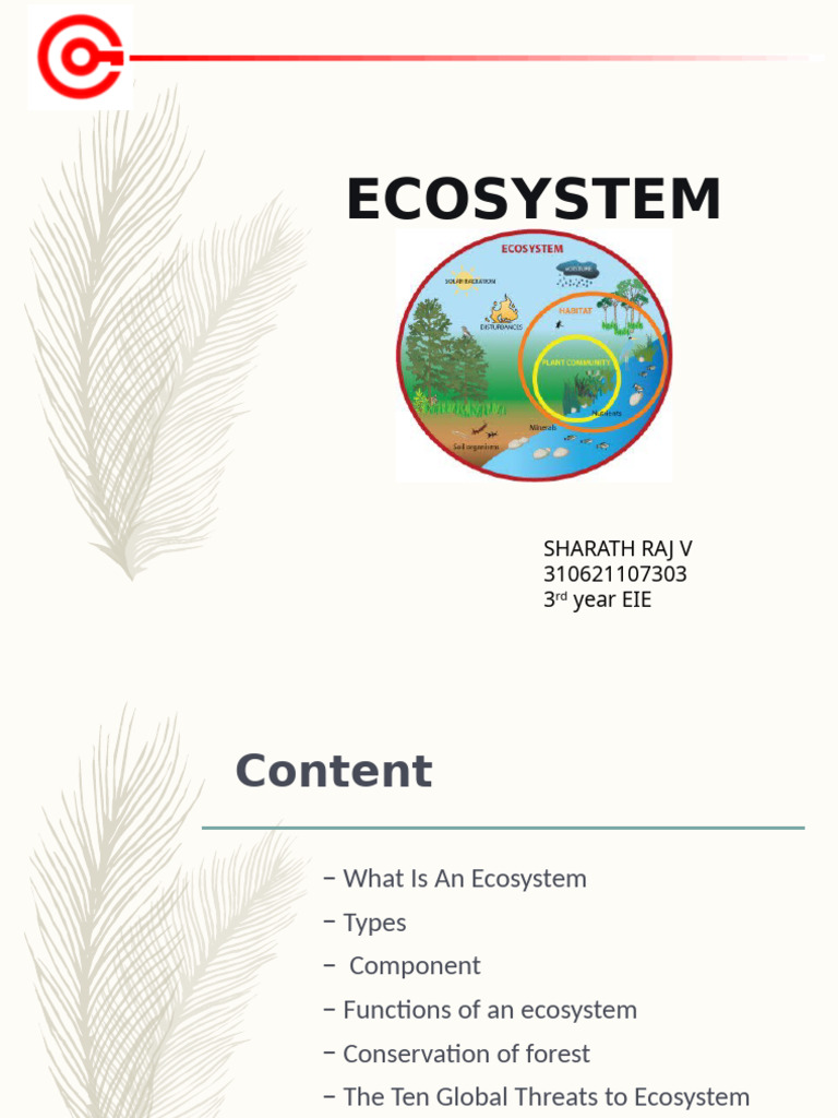 Ecosystem Structure and Functions | PDF | Ecosystem | Soil