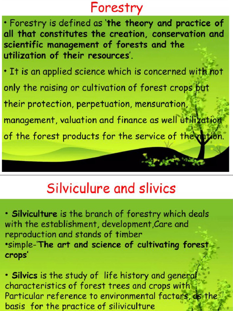3.forest Policies | PDF