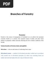 Basics of Forestry | PDF