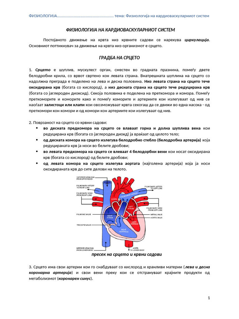 Srce Fiziologija | PDF
