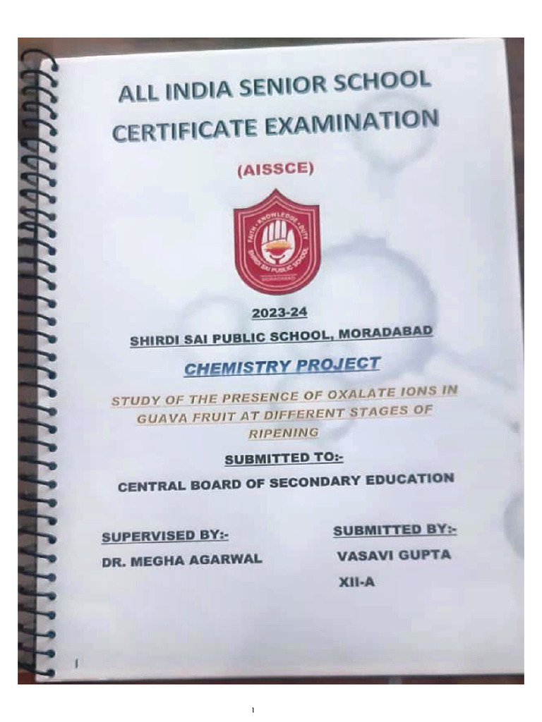 Chemistry Project File | PDF