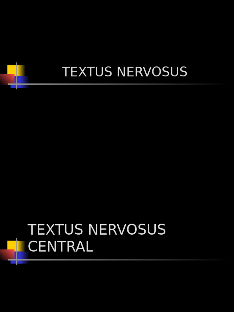 Nervous System Structures Guide | PDF
