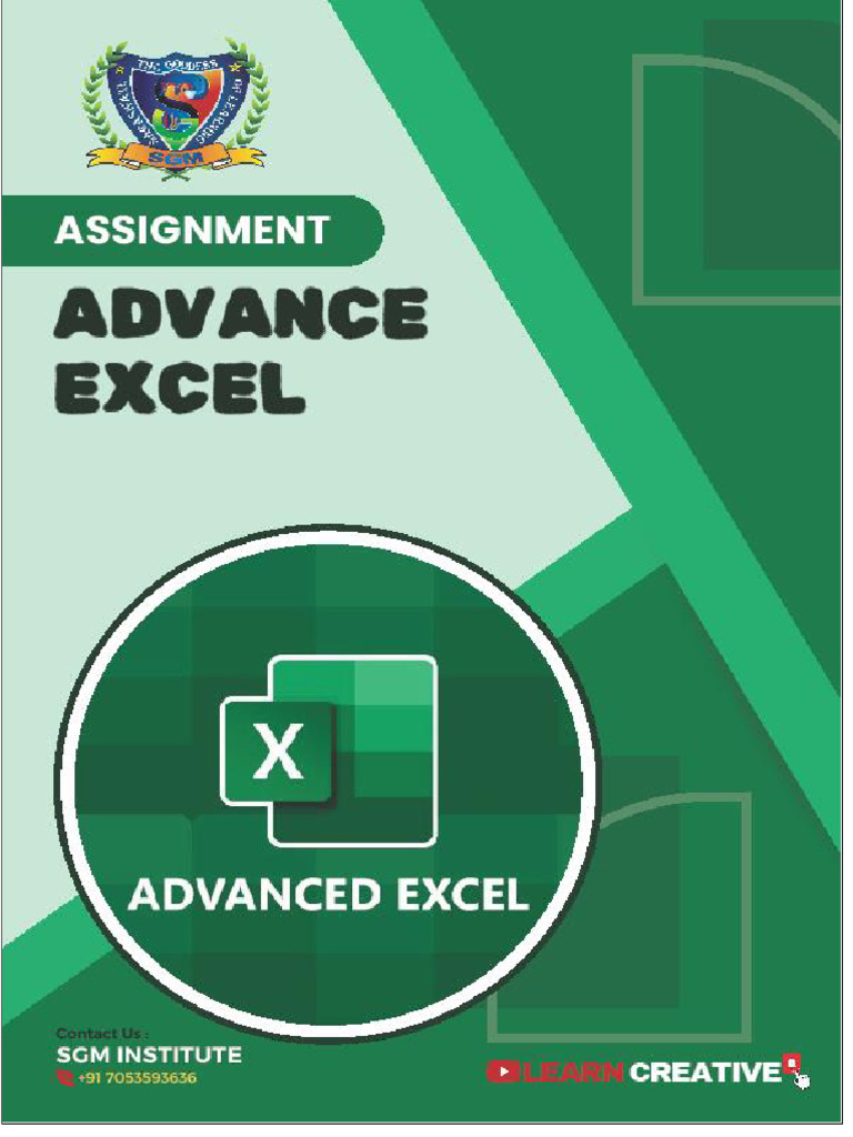 All Advance Excel Assgnmnt 2024 | PDF