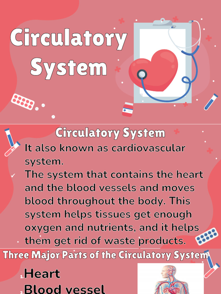 Circulatory-System | PDF