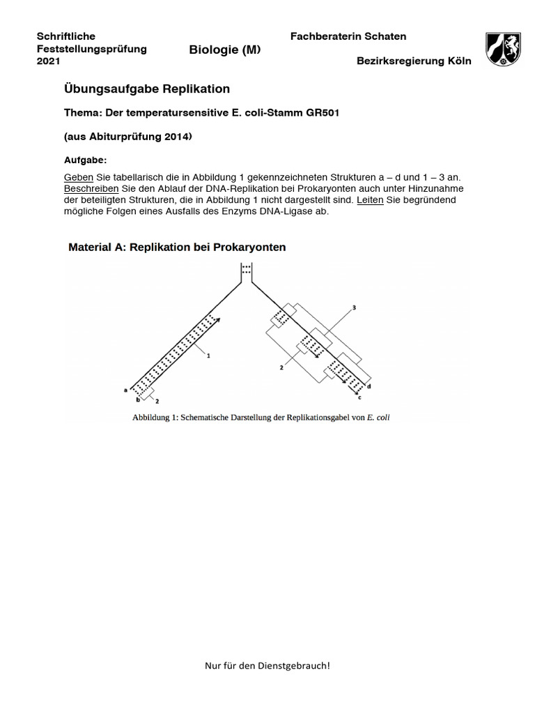 2024 06 11 AB Replikation | PDF