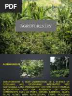 Taungya System | PDF | Plantation | Bengal