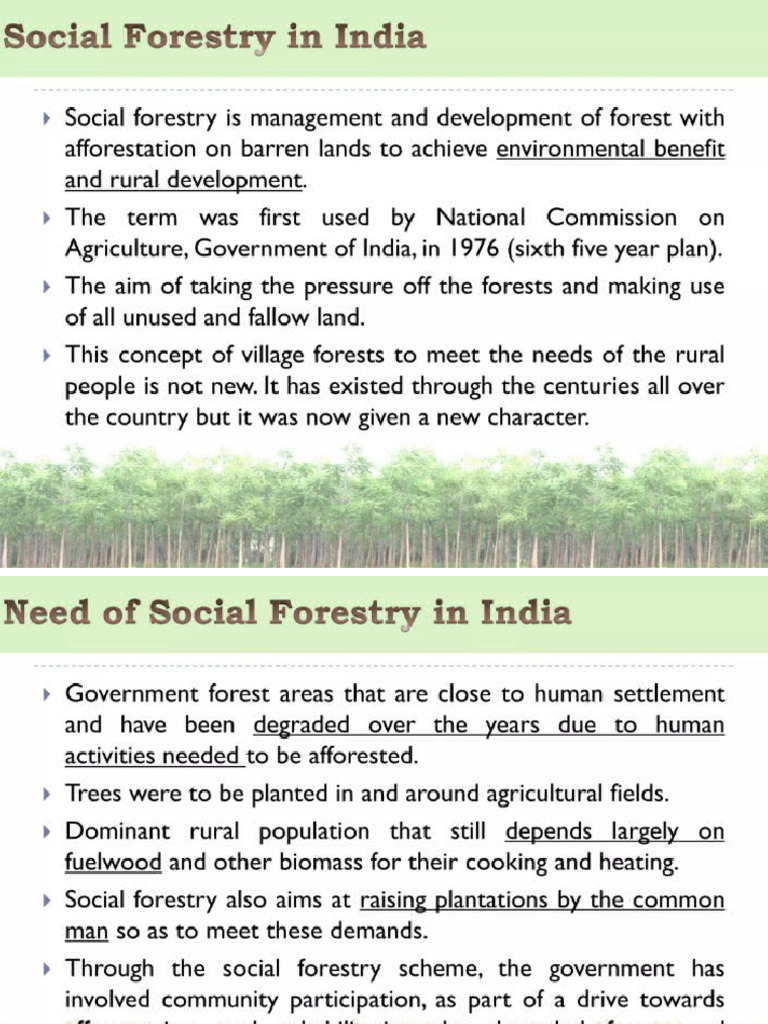 Social Forestry | PDF