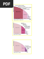Efecto Poseiro en el Embarazo | PDF | Placenta | Feto