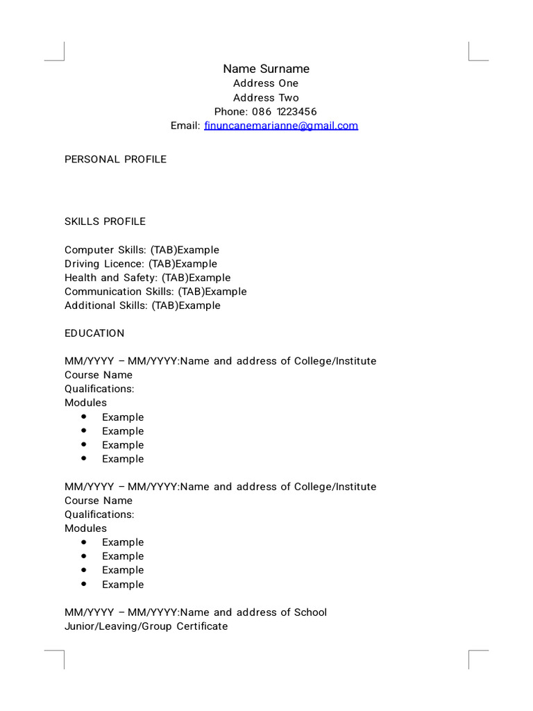 Internationally Accepted CV Template | PDF