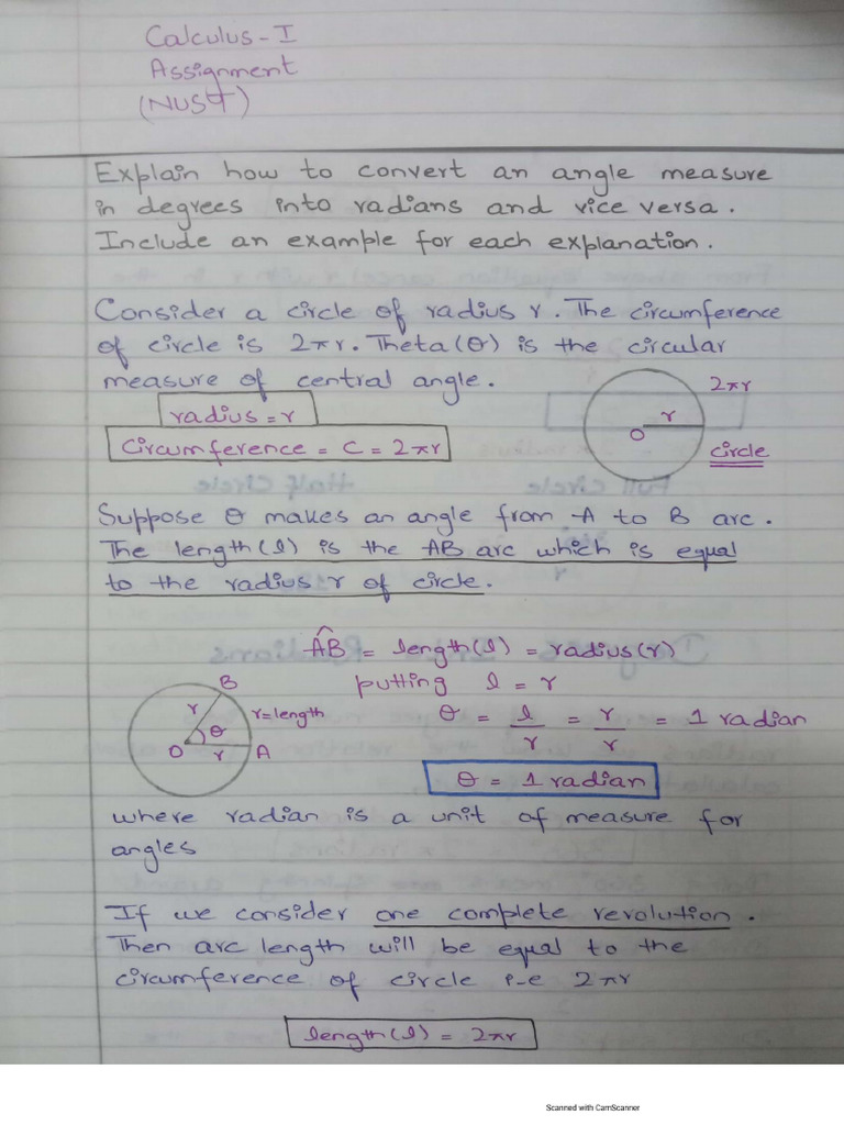Calculus Assignment Questions | PDF
