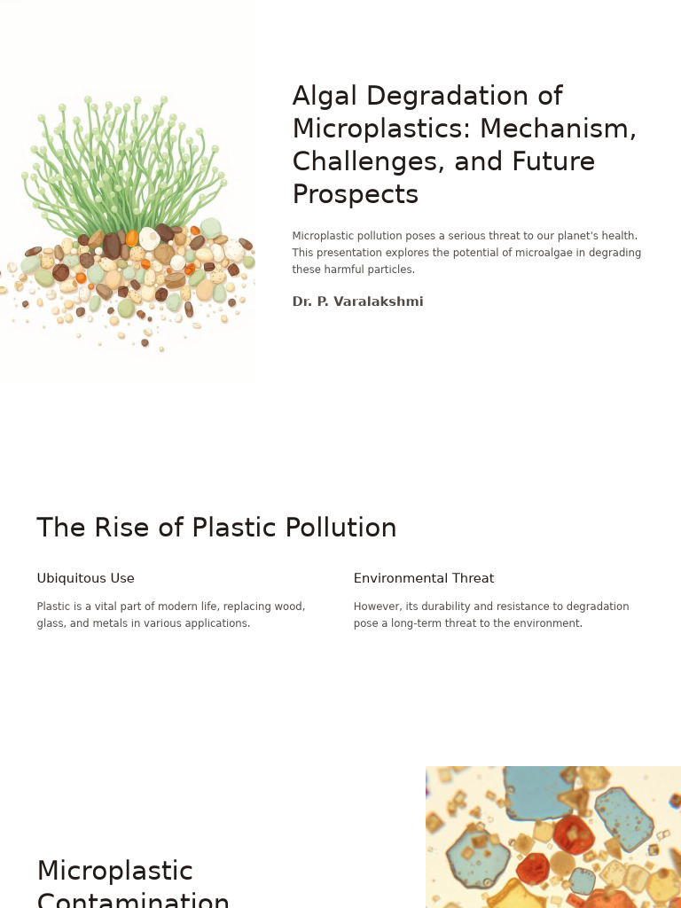 Algal Degradation of Microplastics Mechanism Challenges and Future Prospects | PDF ...