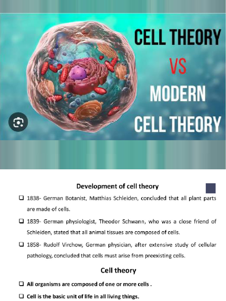 Cell Theory | PDF