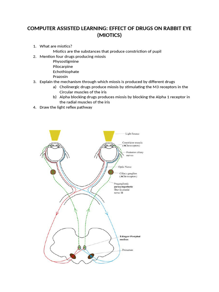 CAL Rabbit Eye Answer Key | PDF | Glaucoma | Human Eye