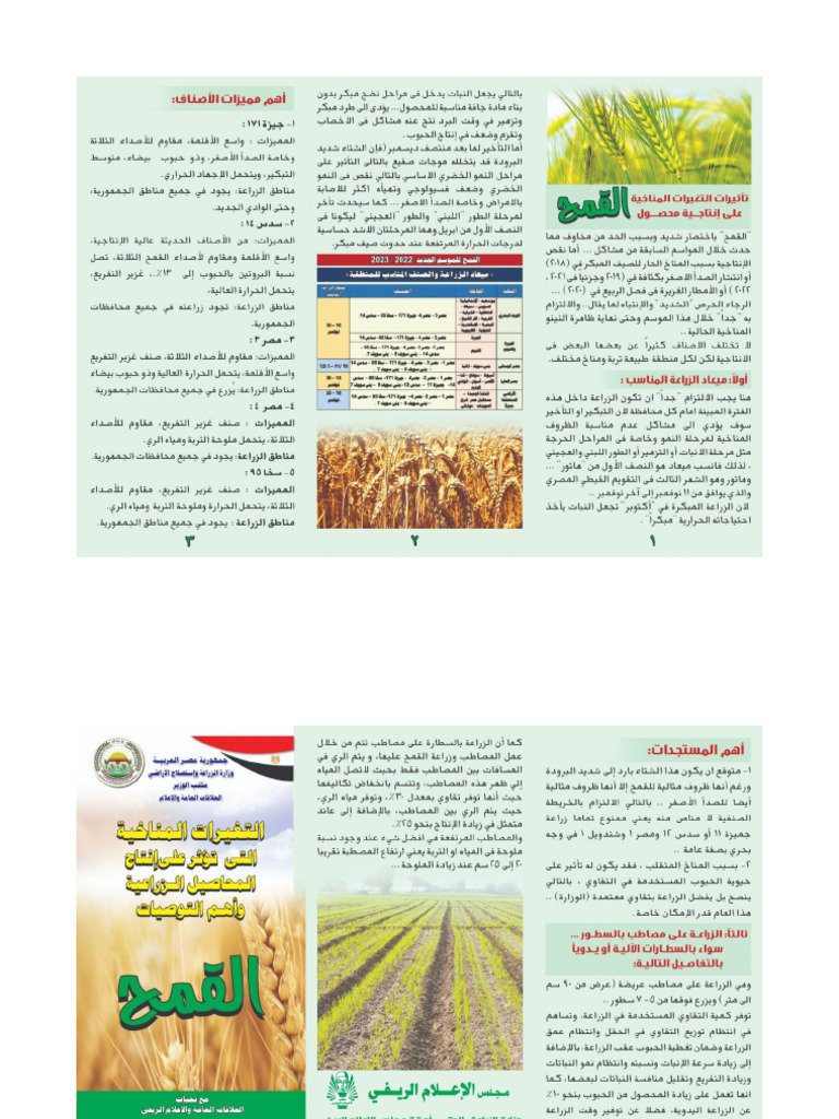 Wheat | PDF