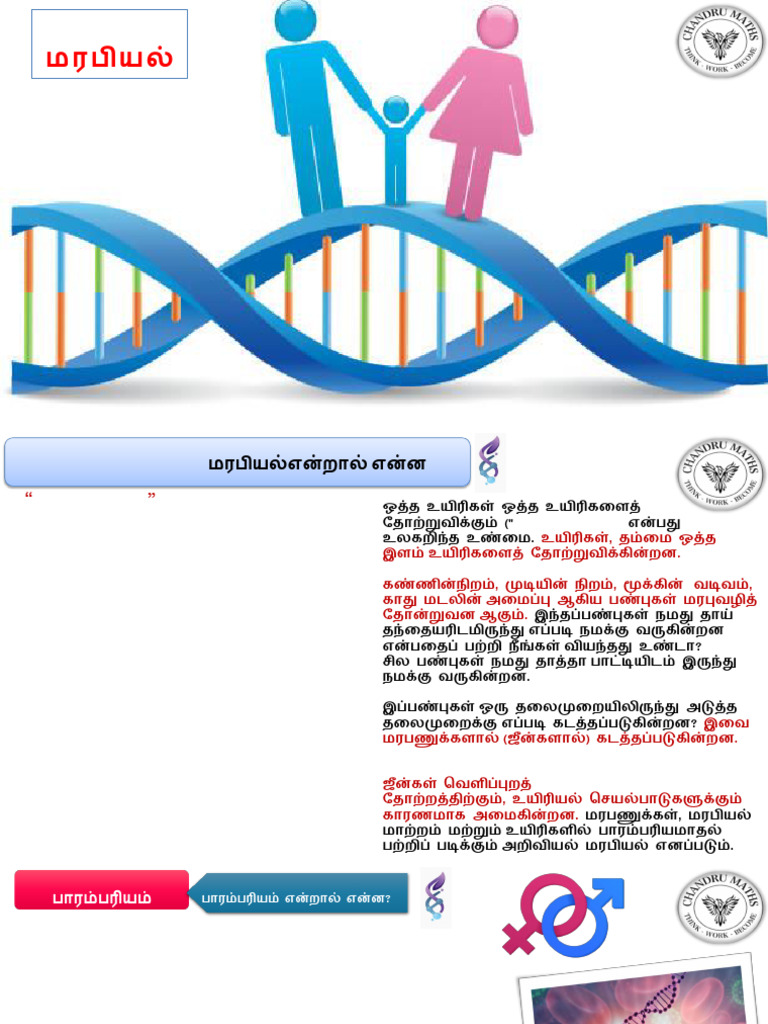 Genetics: Chandru Maths | PDF